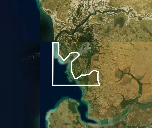 Delta du Saloum | ProtectedSeas Navigator