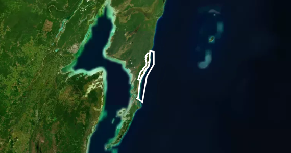 Arrecifes de Xcalak | ProtectedSeas Navigator
