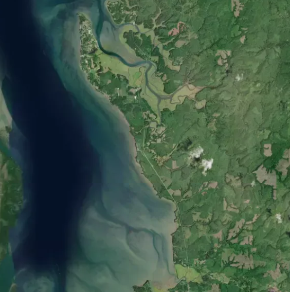 Bone River Natural Area Preserve | ProtectedSeas Navigator